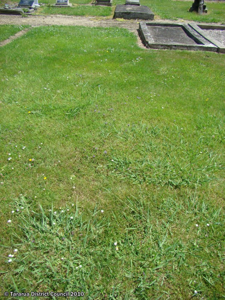 Cemetery Record Details | Tararua District Council